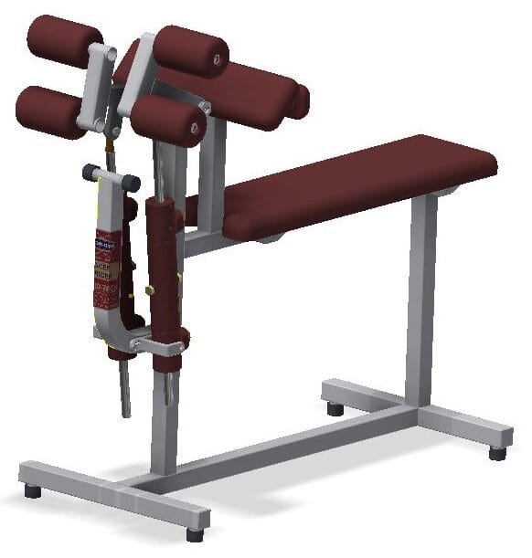 EXER-GYM Biceps / Triceps | Afton | India