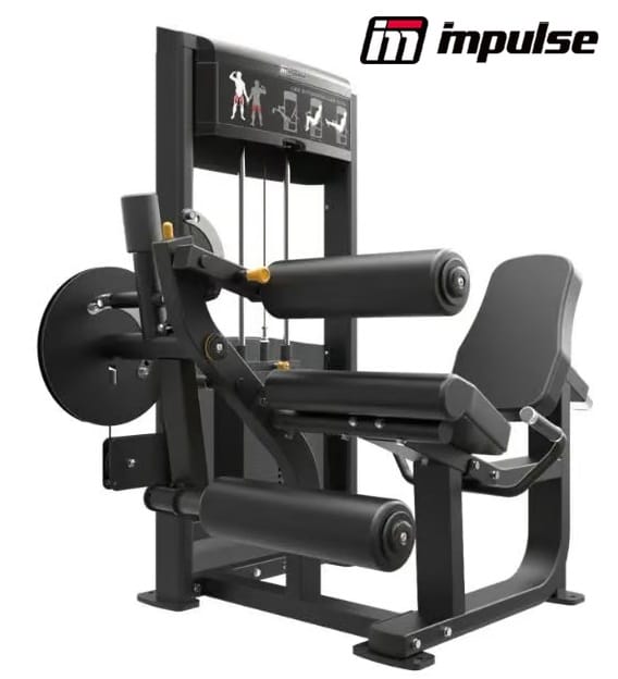 Impulse IF9328 Leg Extension / Curl | Dual Function Lower Body Machine ...